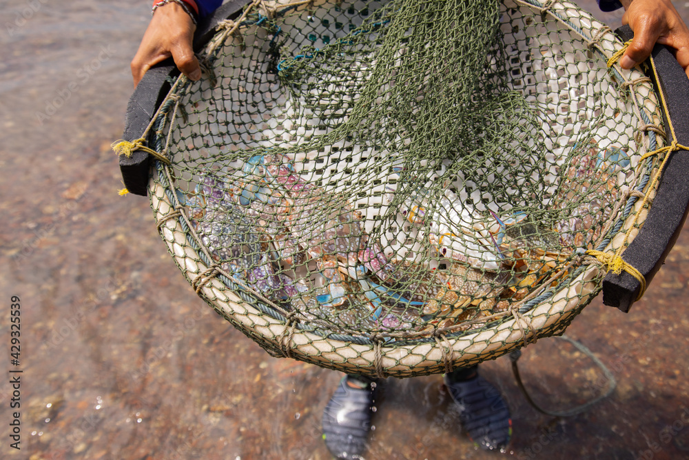 Close up shot of living crab in net trap with background of water in ...