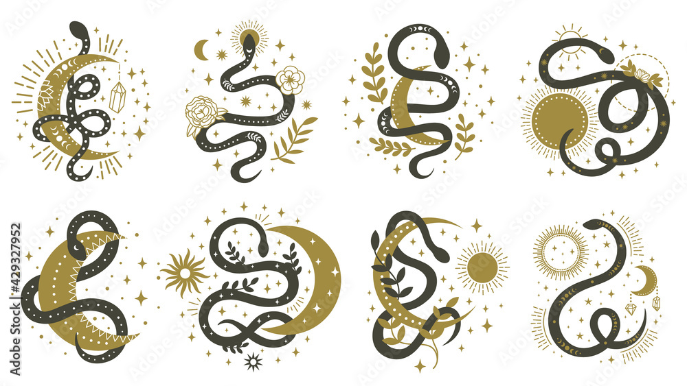 Mystical snakes. Floral boho and astrology minimalist elements with ...