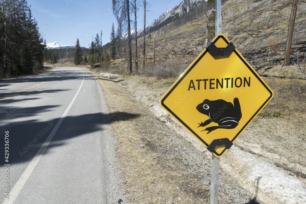 Traffic Road Sign. Frog Animal Crossing Caution in Banff National Park ...