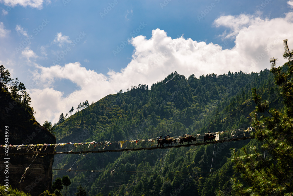 Traditional suspension bridge in the Himalayas along Mount Everest Base ...