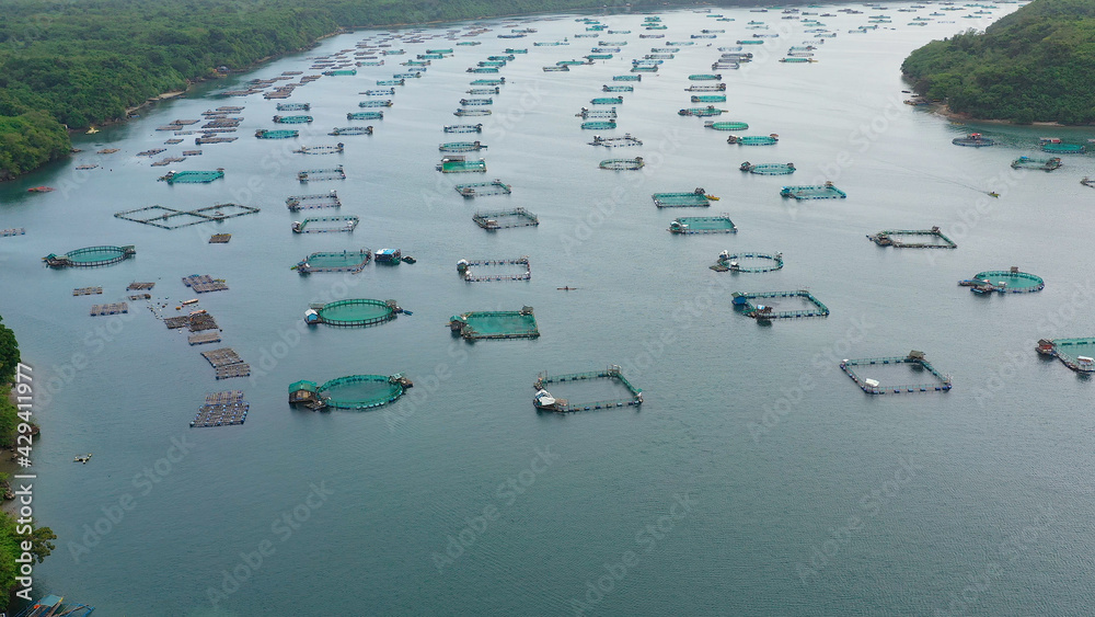 Fisheries on Luzon Island, Philippines. Fish farm, top view. Aerial ...