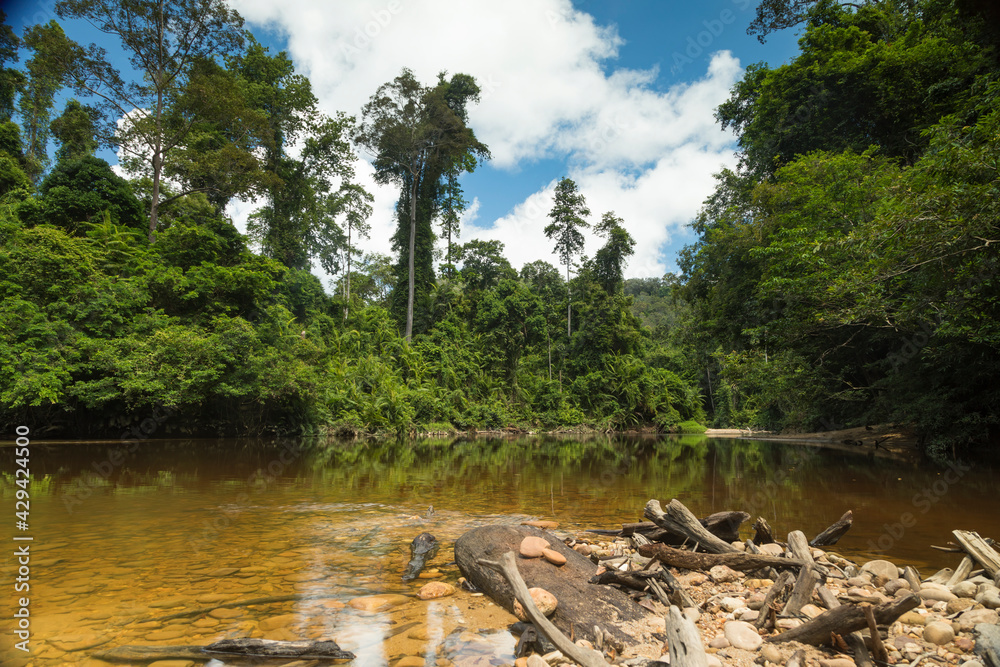 Landscape photograph of the Tembeling River and surrounding jungle ...
