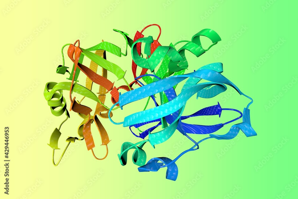 Crystal structure of human pepsin 3b, one of the enzymes that digest ...