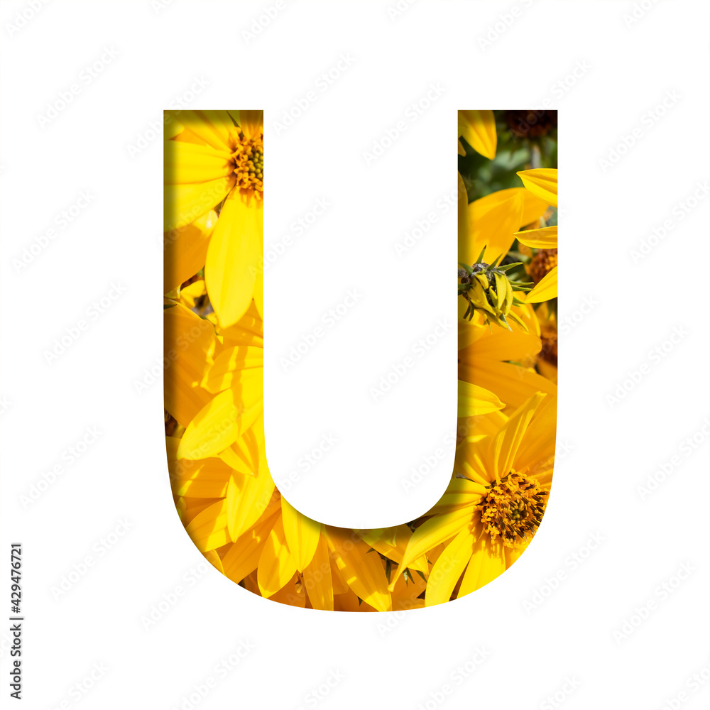 Autumn flowers font. Letter U cut from paper on a background of bright ...