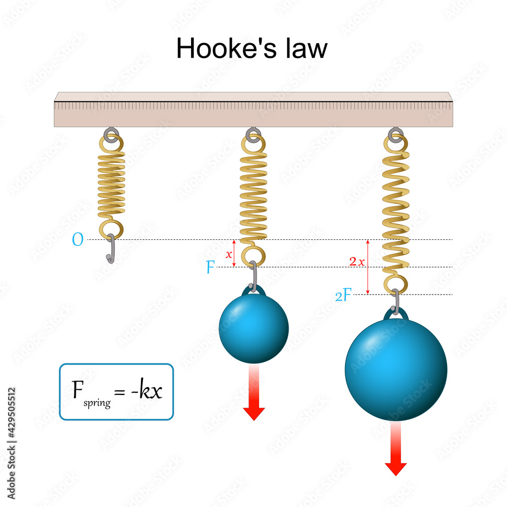 Hooke's law. spring Stock Vector | Adobe Stock