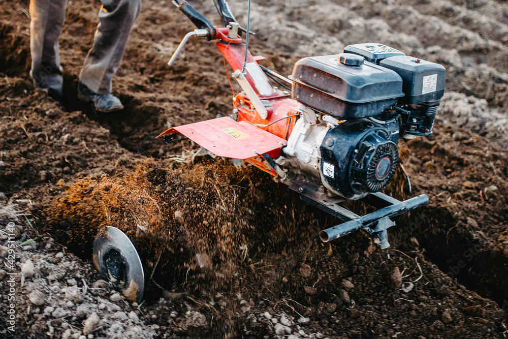 work with a walk-behind tractor in the field of a home farm, plow the ...