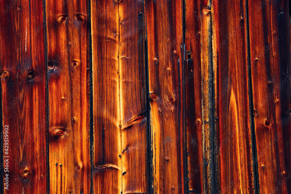wood tree timber background texture structure backdrop Stock Photo ...