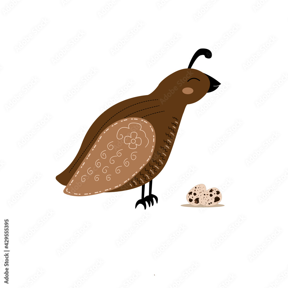 Cute cartoon quail and eggs isolated on white background in flat and ...