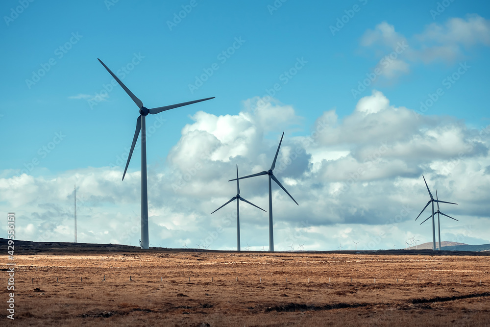 Wind turbine farm in the open field on a bright sunny day. Teal and ...
