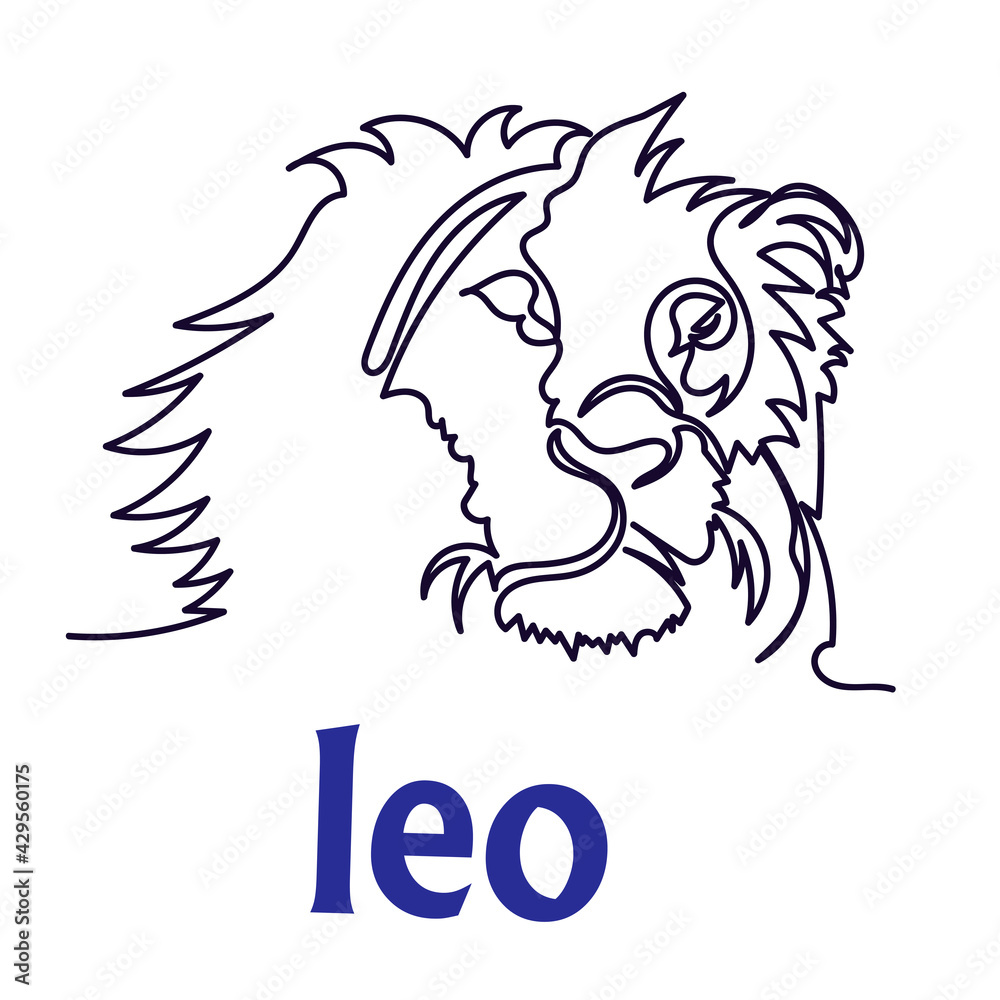 continuous line drawing of a lion, wildlife vector illustration. Stock ...