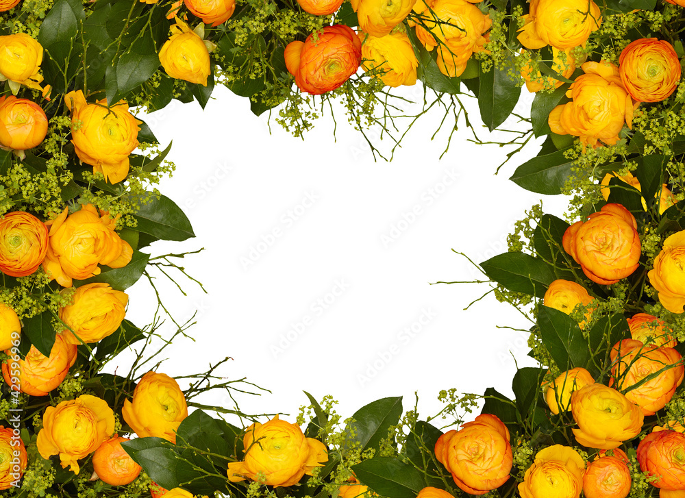frame of yellow roses flowers beautiful border isolated on white ...