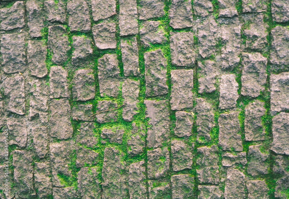 Ancient stones wall of fortress cover with moss. Green Moss Covered ...