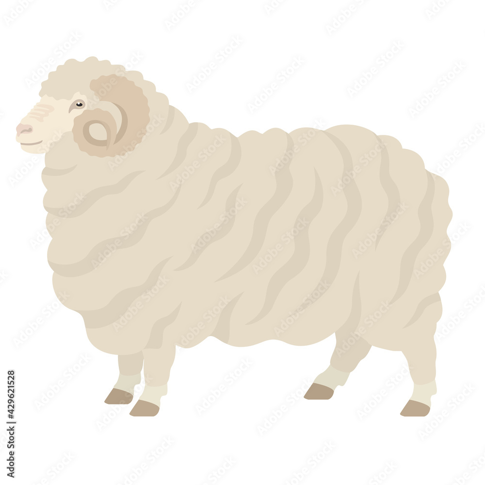 Merino sheep Ram Farm animals Flat vector illustration Isolated object ...