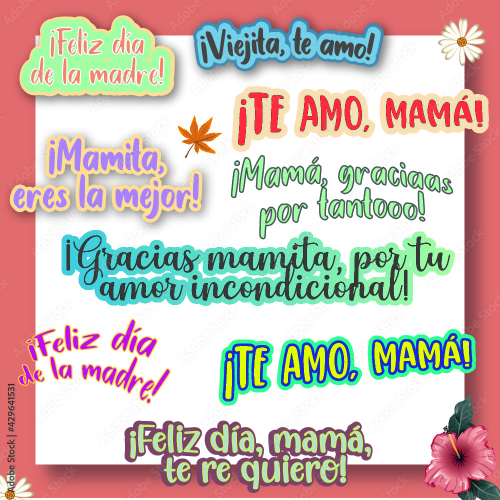 Feliz Dia Mamita