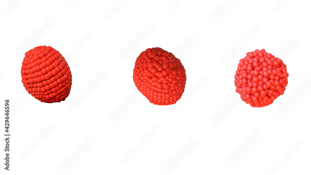 Collection of berries, Various shapes of three fruits of raspberry ...
