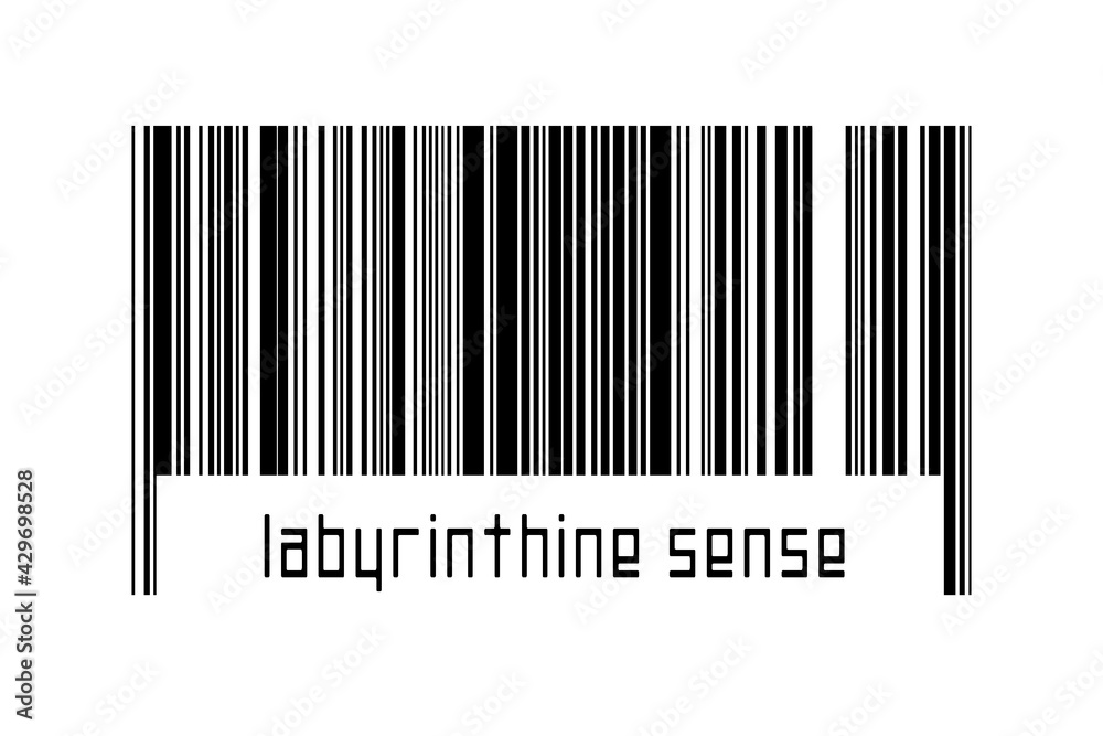 Digitalization concept. Barcode of black horizontal lines with ...