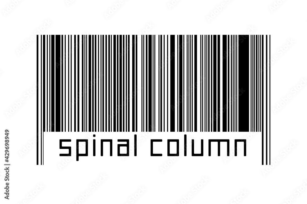 Digitalization concept. Barcode of black horizontal lines with ...