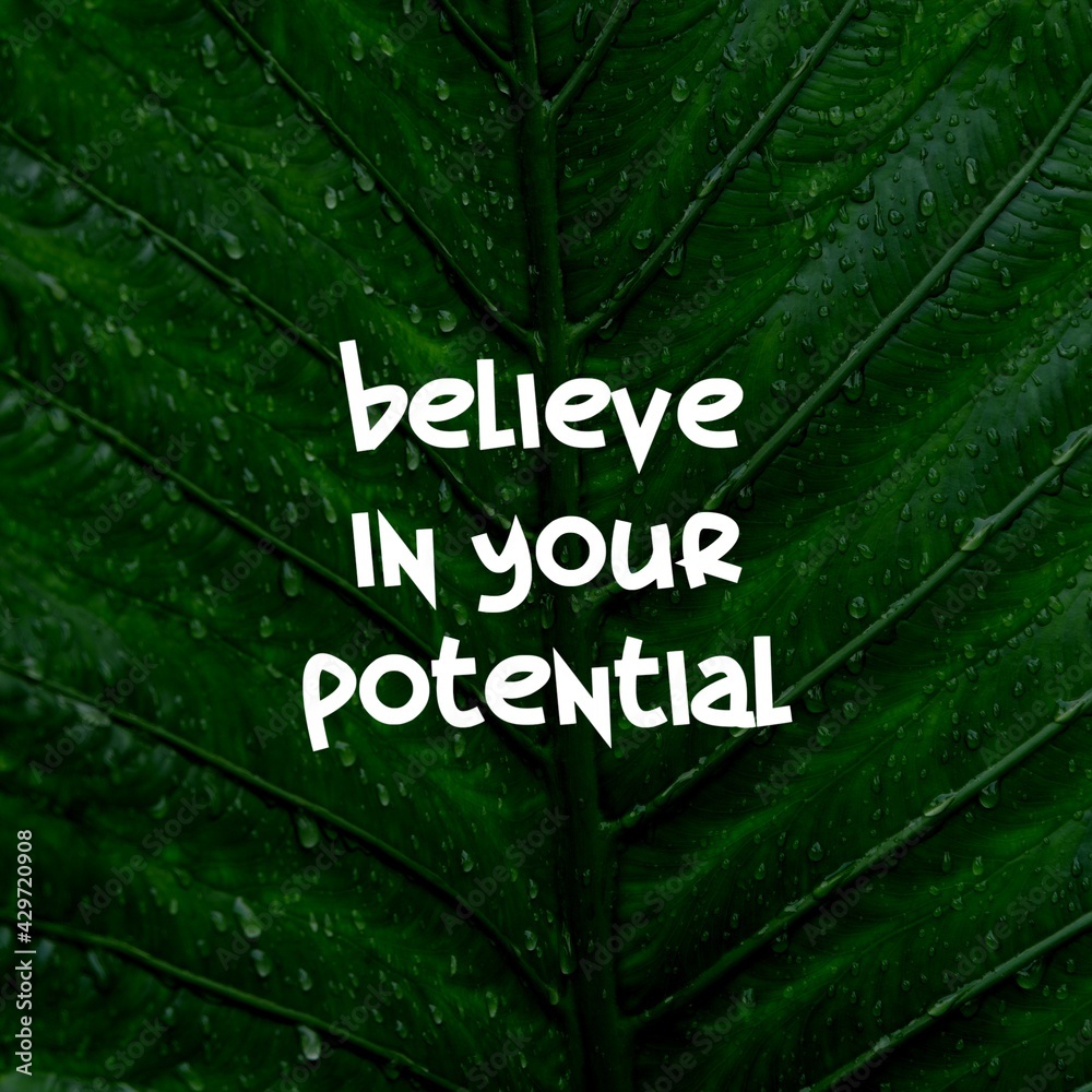 Inspirational quotes and motivational quotes-Believe in your potential ...
