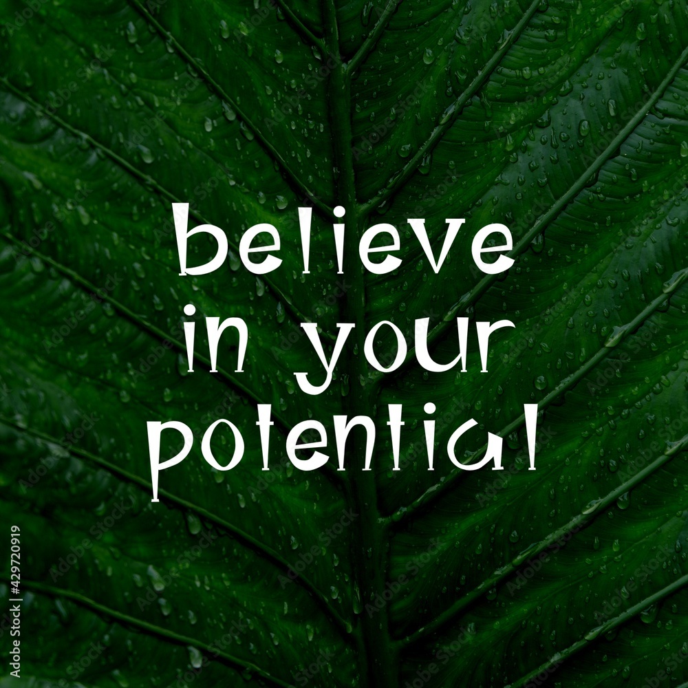 Inspirational quotes and motivational quotes-Believe in your potential ...