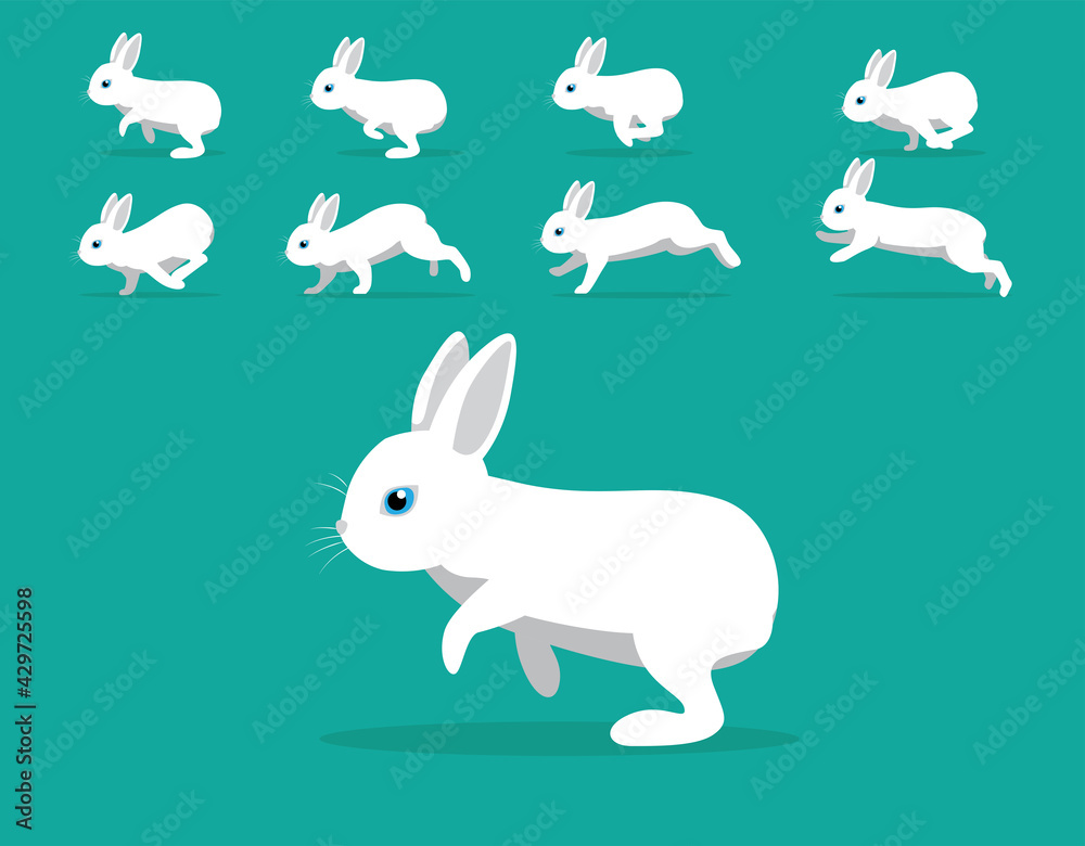 Animal Animation Sequence Rabbit Polish Cartoon Vector Stock Vector ...