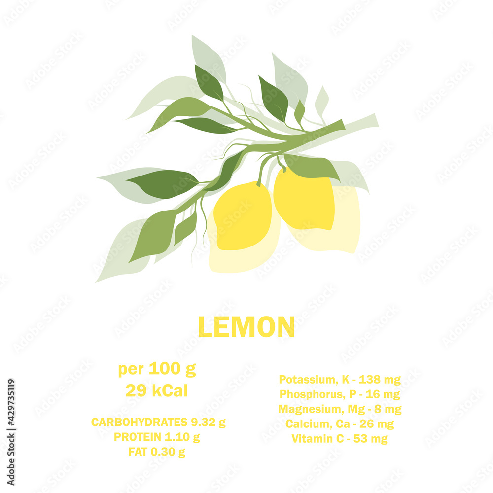 Infographic card about calories of lemon 100g. Vitamins, minerals and ...