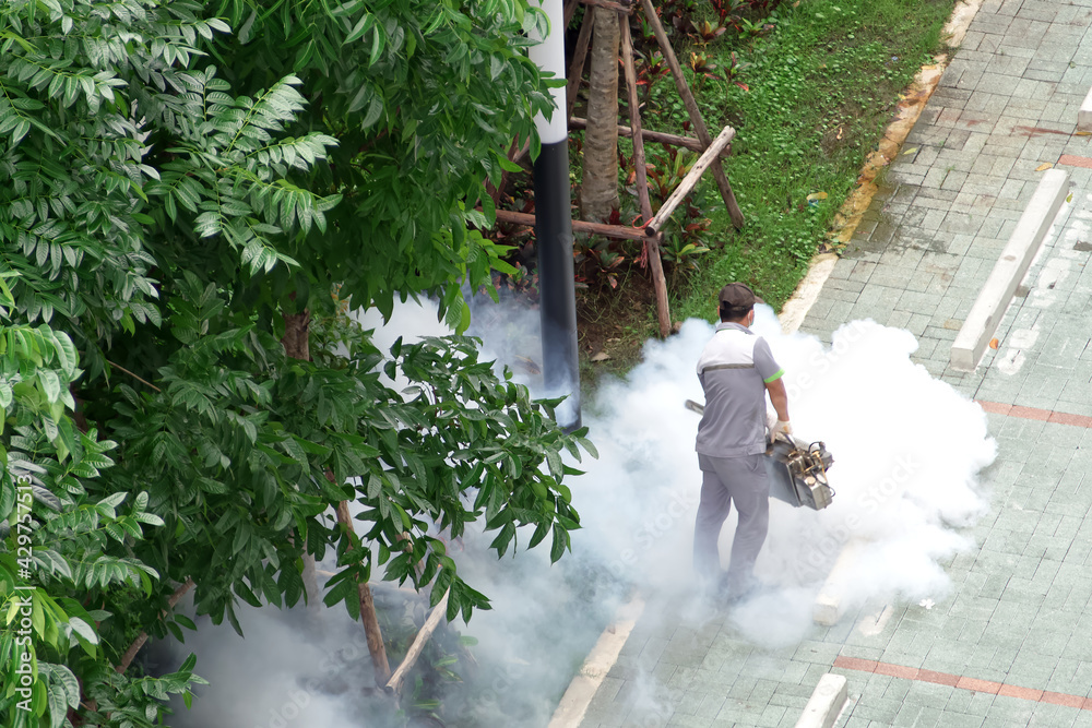Service of spray insecticide smoke, Fogging machine spraying chemical ...