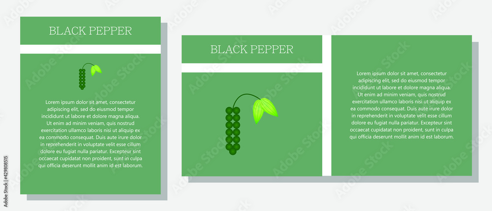 Black pepper. Information banner or tag in two designs. Description and ...