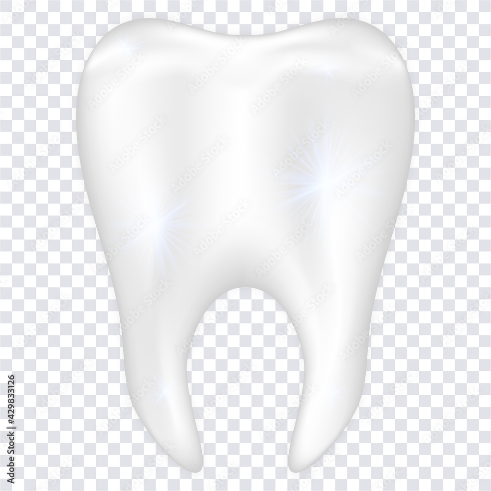 Realistic teeth isolated on transparent background. dental health and ...