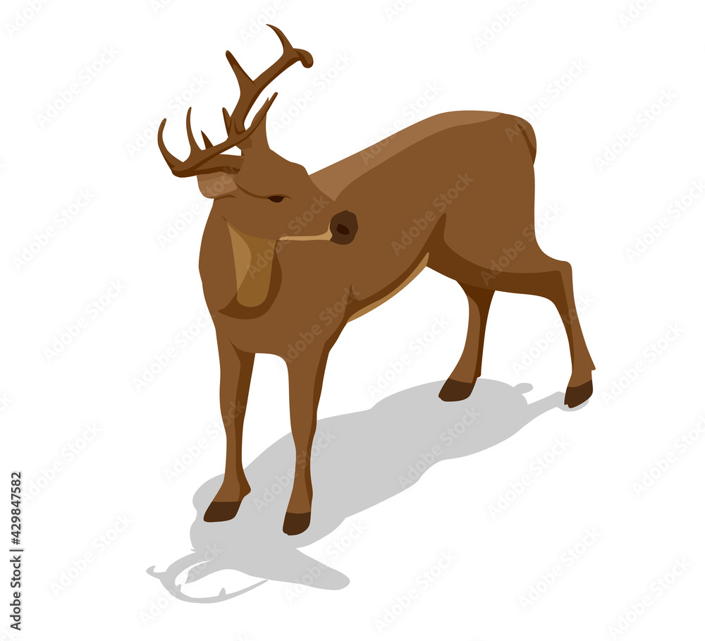 Isometric deer front view illustration. Proud Noble Deer male isolated ...