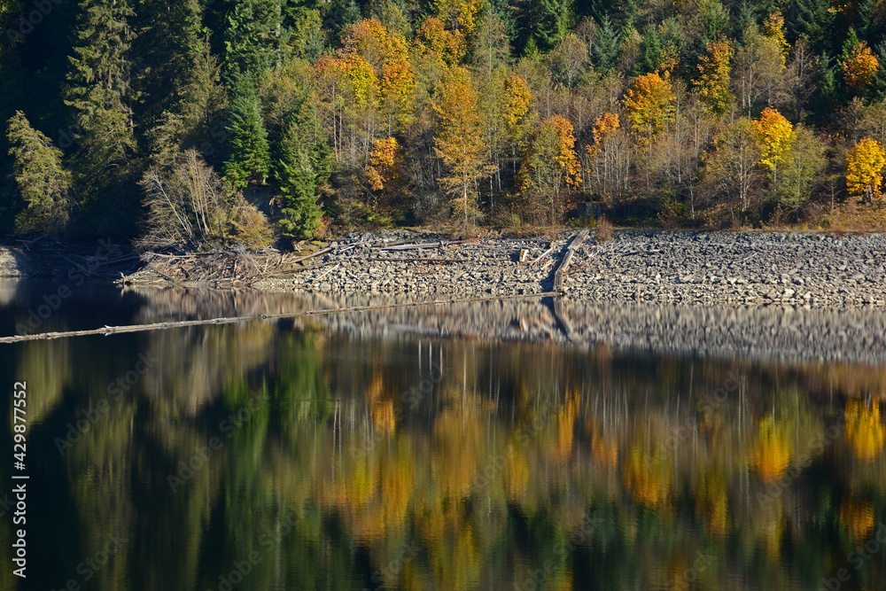 Capilano Dam in North Vancouver reservoir with Autumn trees and boulders reflecting onto ...