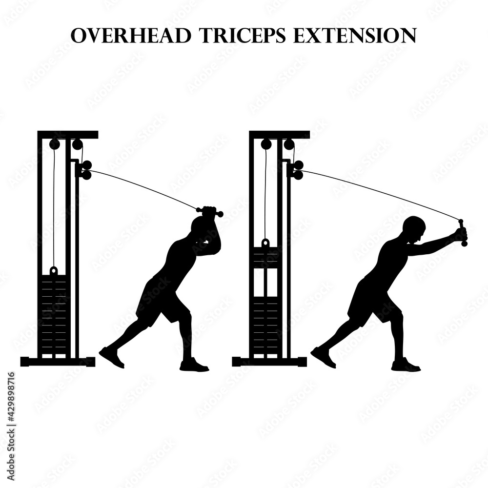 Overhead triceps extension exercise strength workout vector ...