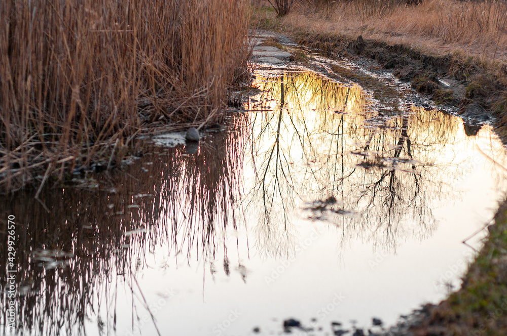reflection of the sun in a puddle. beautiful reflection of the sunset ...