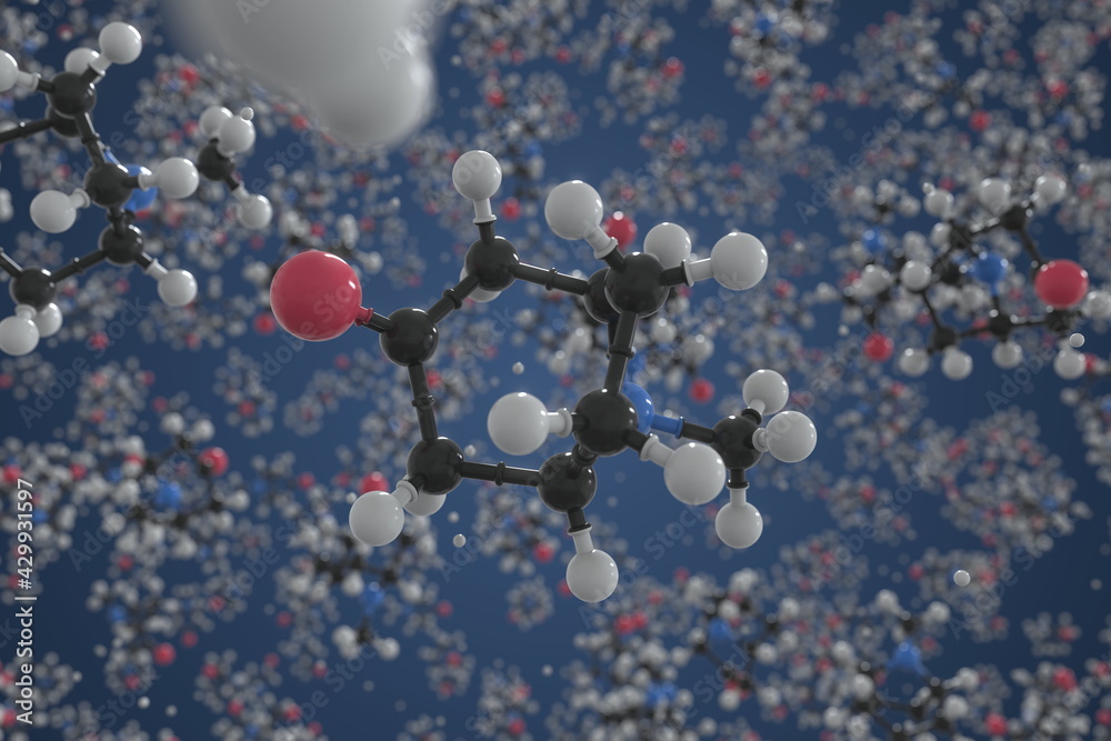 Molecule of tropinone, ball-and-stick molecular model. Scientific 3d ...