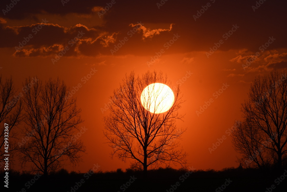 Dramatic and colorful landscape with tree silhouette and sunset sun ...