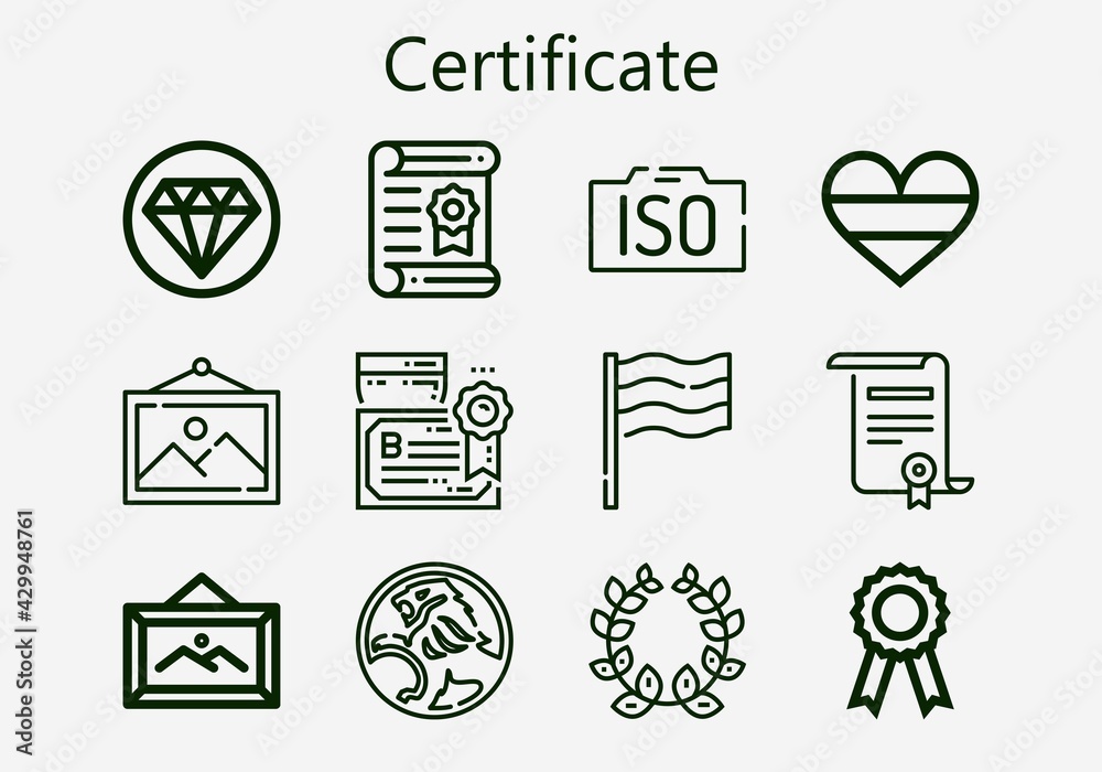 Premium set of certificate [S] icons. Simple certificate icon pack ...