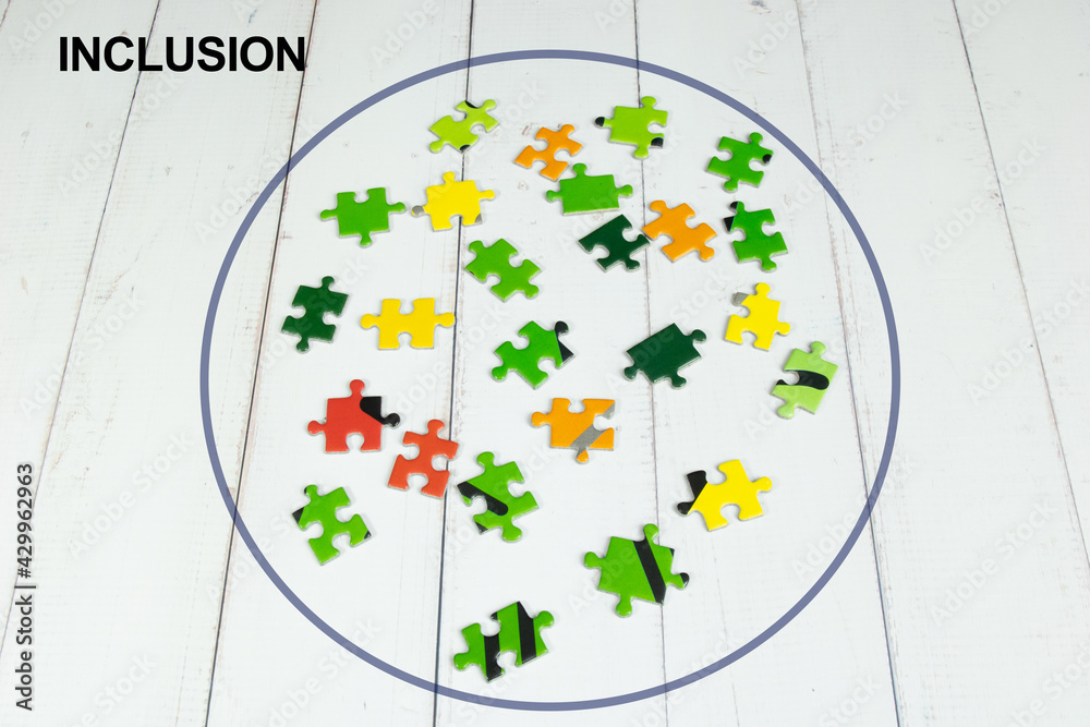 Didactic explanation with puzzle pieces of Inclusion terms. INCLUSION ...