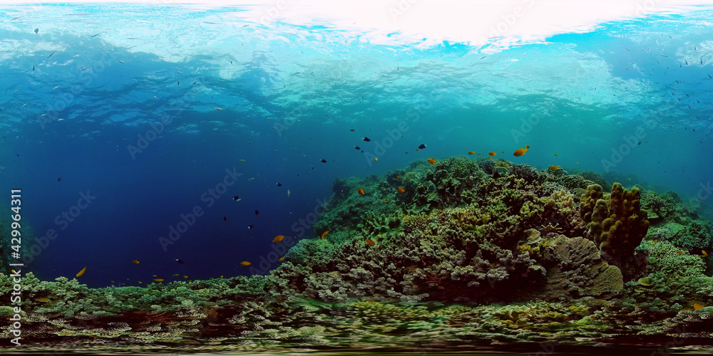 Underwater Scene Coral Reef. Coral Reefs Seascape. Underwater sea fish ...