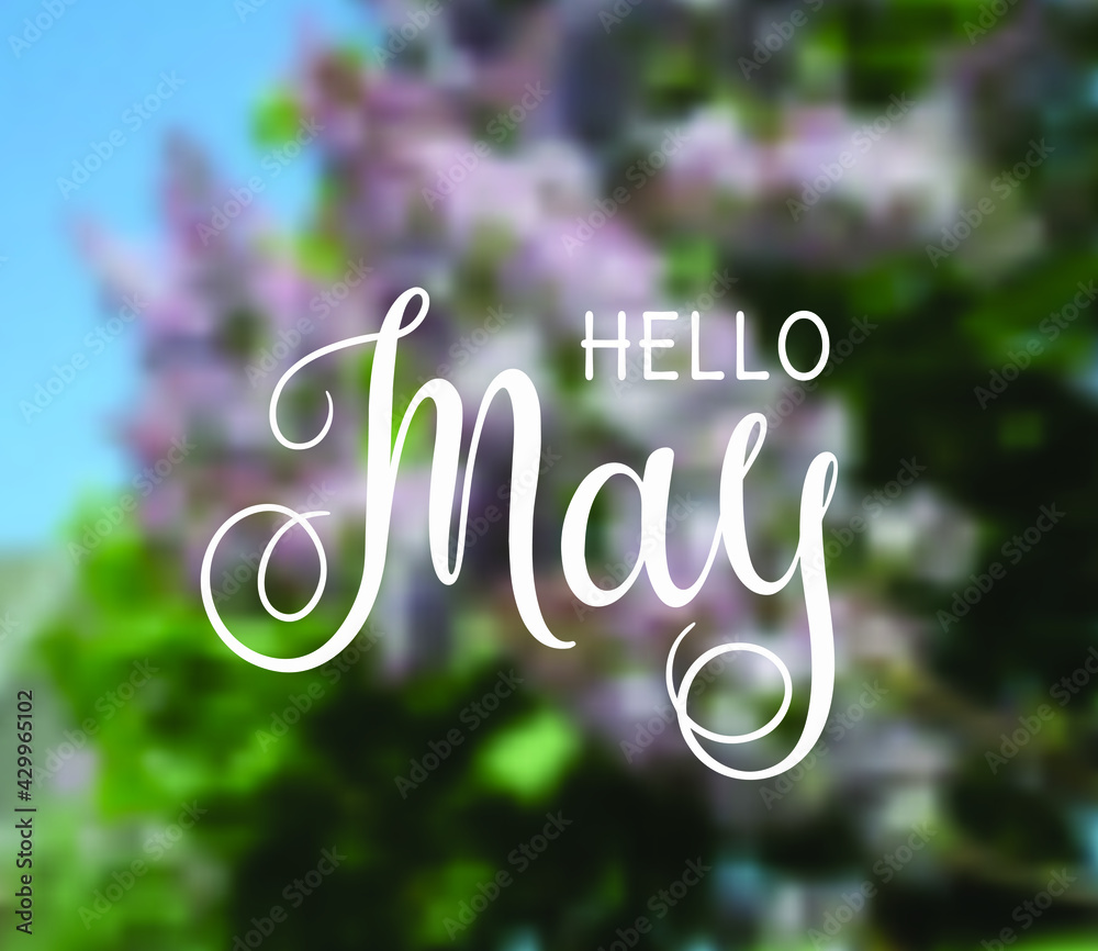 Handwritten, hello May, lettering message. Modern lettering. Hello May ...