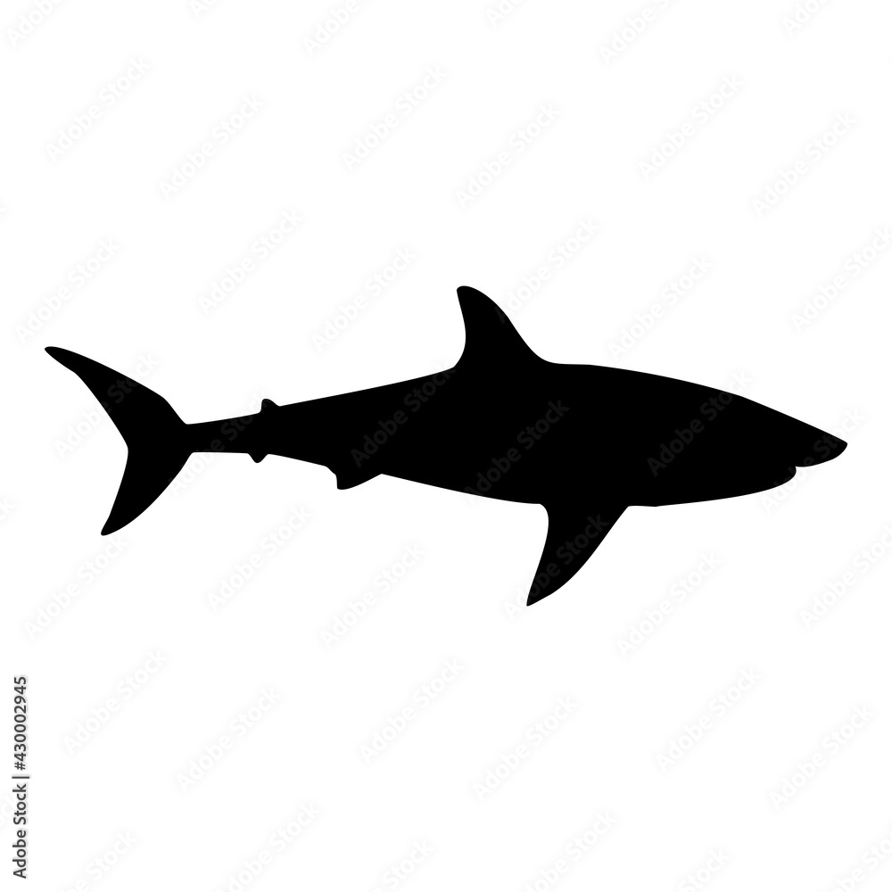 Shark isolated black silhouette. Side view. Marine animal. White ...