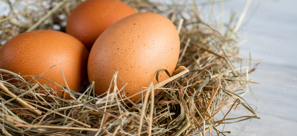 Closeup raw white brown organic fresh eggs shell with yolk from happy ...