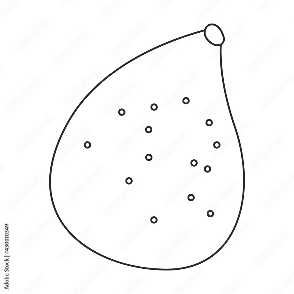 Fig vector outline icon. Vector illustration slice fruit on white ...