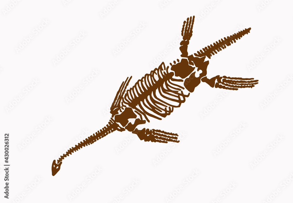 Graphical vintage skeleton of Loch ness monster ,water dinosaur fossils ...