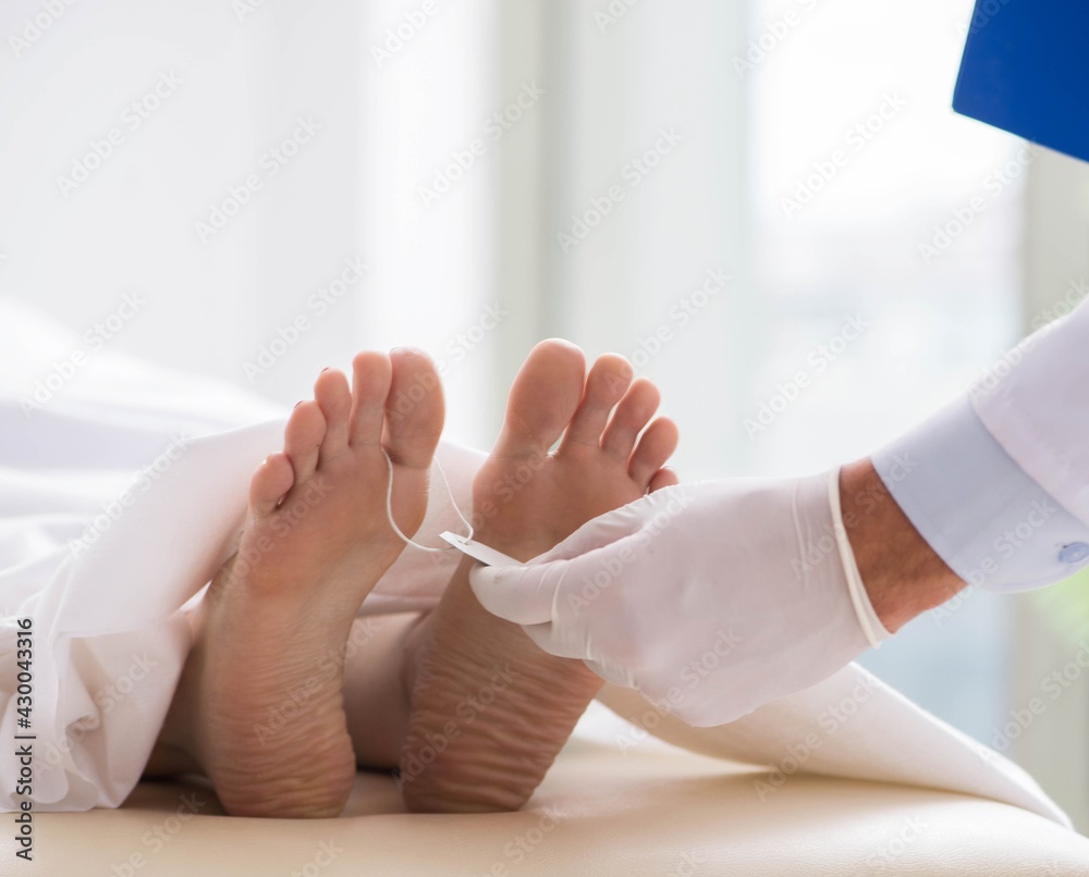 Police coroner examining dead body corpse in morgue Stock Photo | Adobe ...