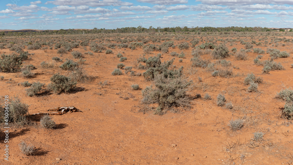 Australian rural landscape in a remote area of rural Outback. Dry harsh ...