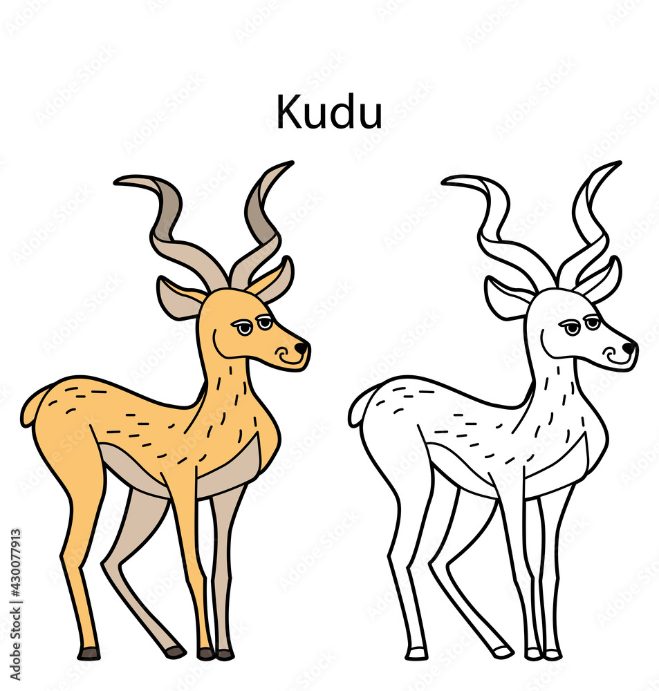 Funny cute animal kudu isolated on white background. Linear, contour ...