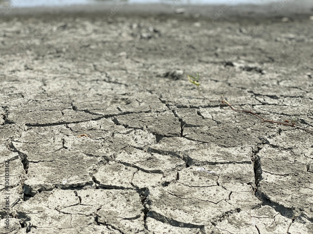 Mudcracks (also known as mud cracks, desiccation cracks or cracked mud ...