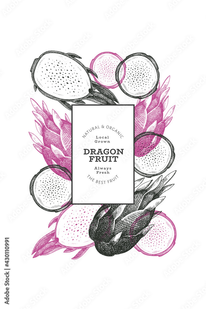 Hand drawn dragon fruit design template. Organic fresh food vector ...