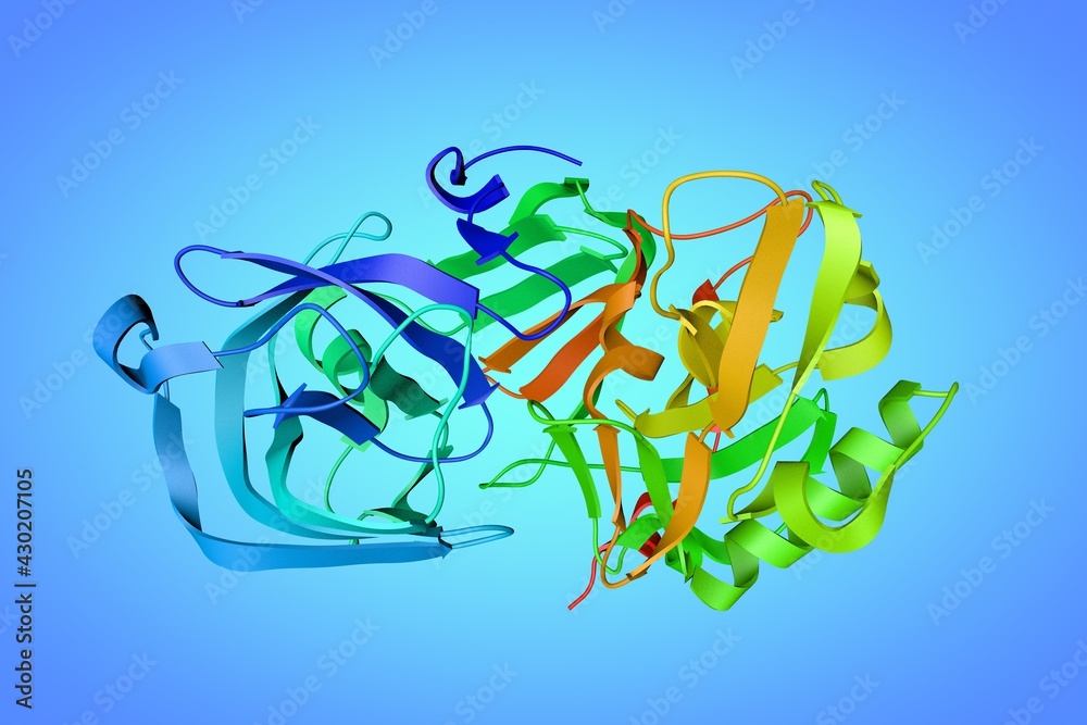 Crystal structure of human beta secretase (BASE) in complex with ...