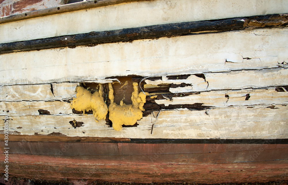 Hole in a rotting wooden boat repaired with expanding filler. Stock ...