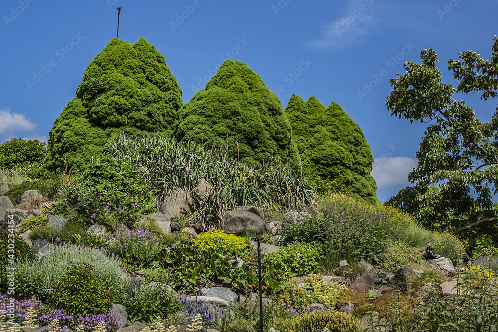 City Botanical Gardens (1870) in Copenhagen, Denmark. Botanical Garden ...